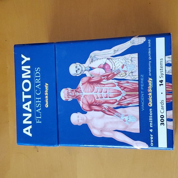 Other | Anatomy Flash Cards New | Poshmark